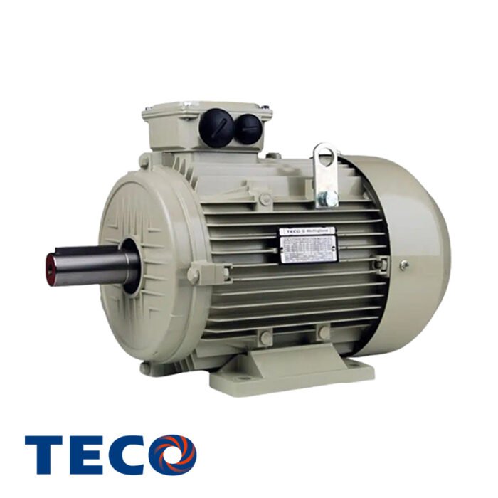 TECO Electric Motor – Peak Innovatech